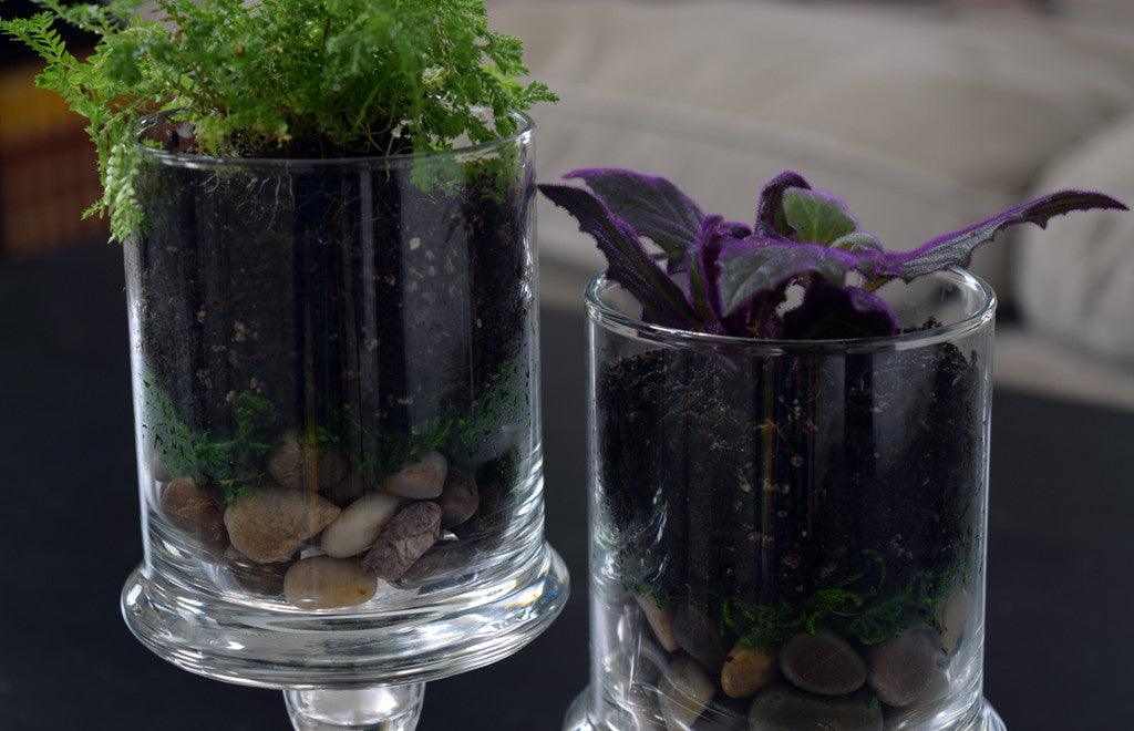 Using Glass Jars As Planters DIY Inspiration | Adult Craft Activities